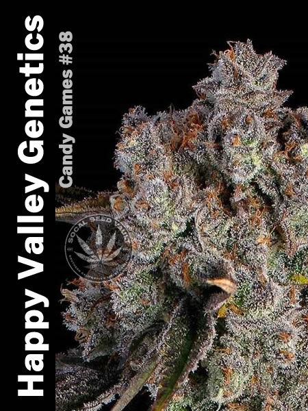 Socal Seed Vault - Candy Game #38 by Happy Valley Genetics